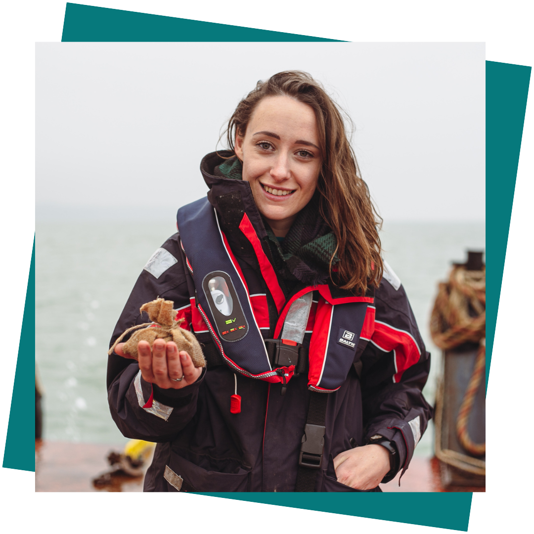 Our team – Blue Meadows