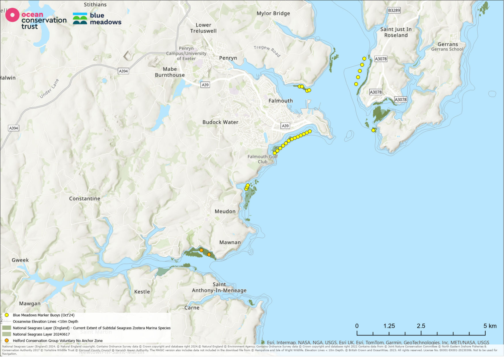 Falmouth – Blue Meadows