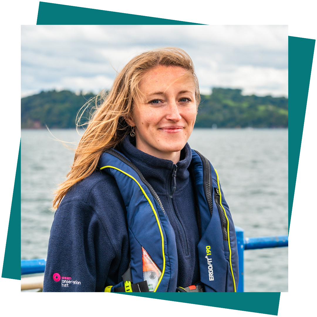 Our team – Blue Meadows