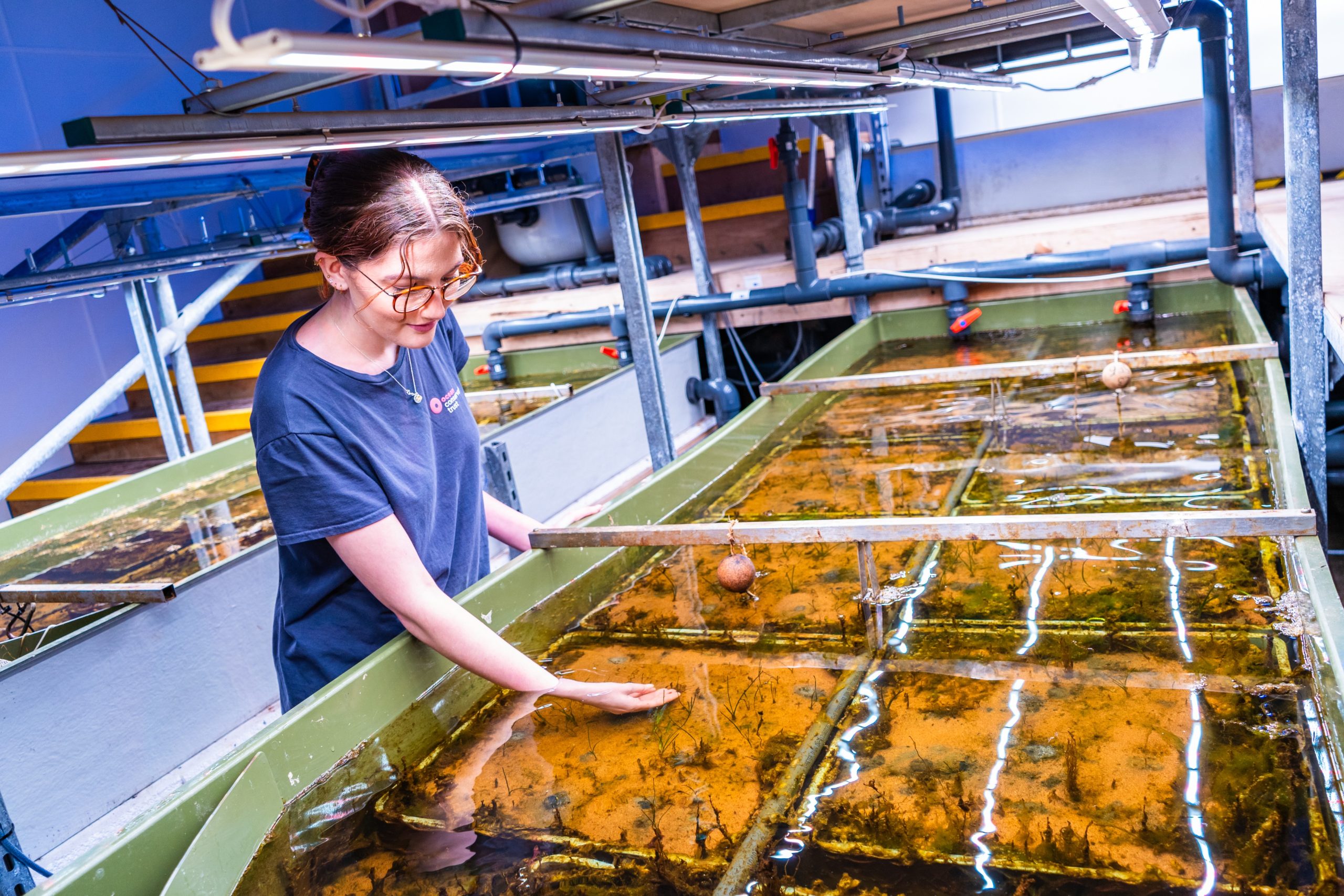 Volunteering and Internships – Blue Meadows