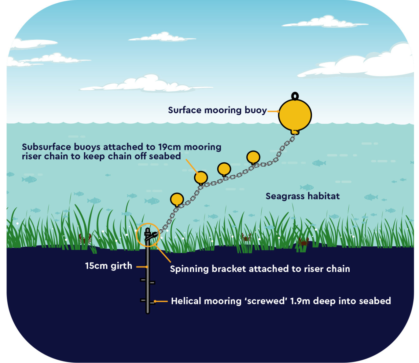 Advanced mooring systems – Blue Meadows