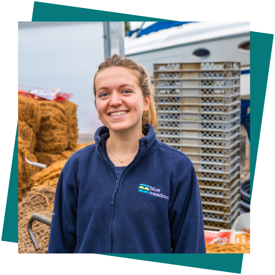 Our team – Blue Meadows