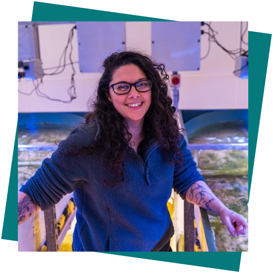 Our team – Blue Meadows