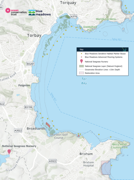 Torbay – Blue Meadows