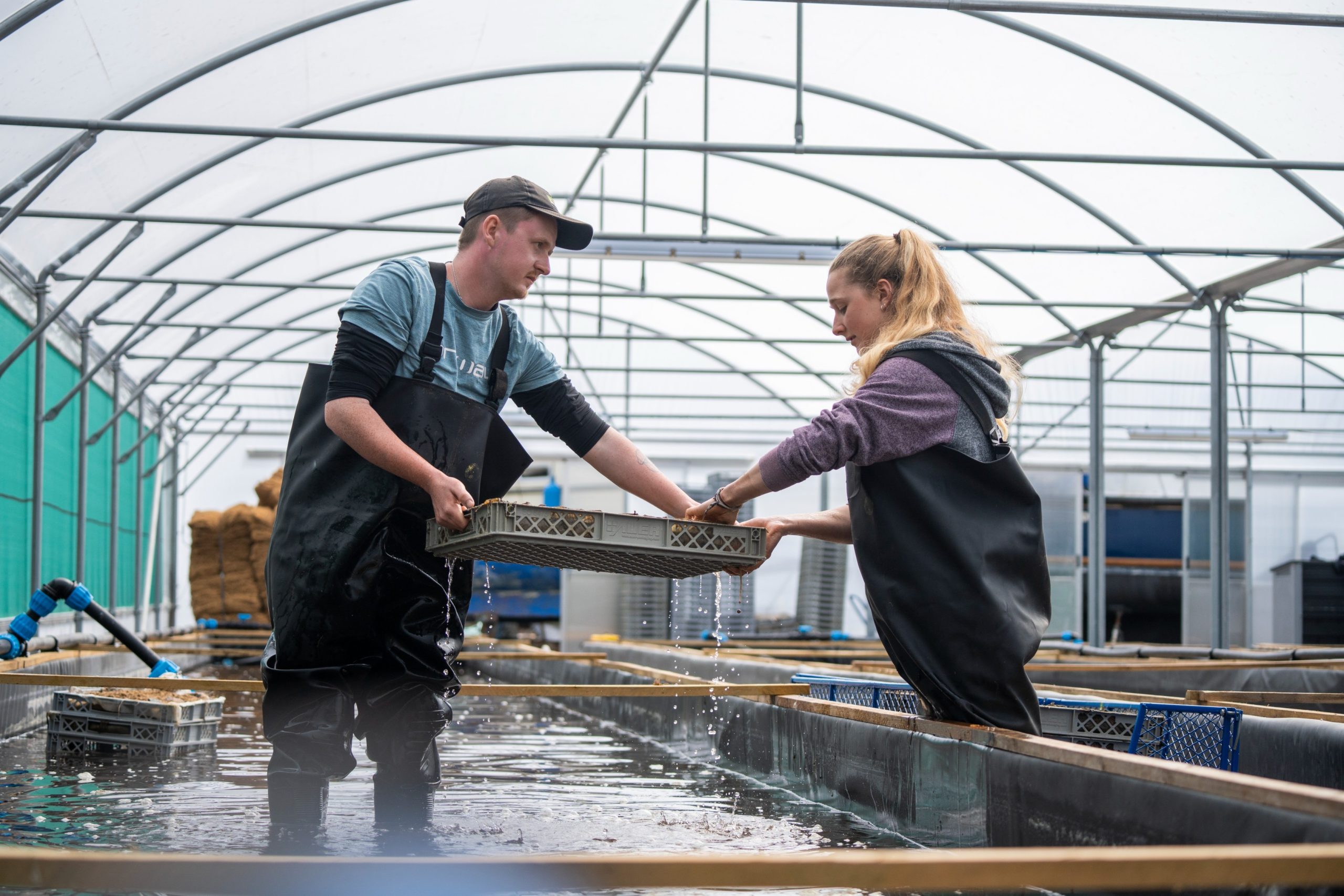 Community – Blue Meadows