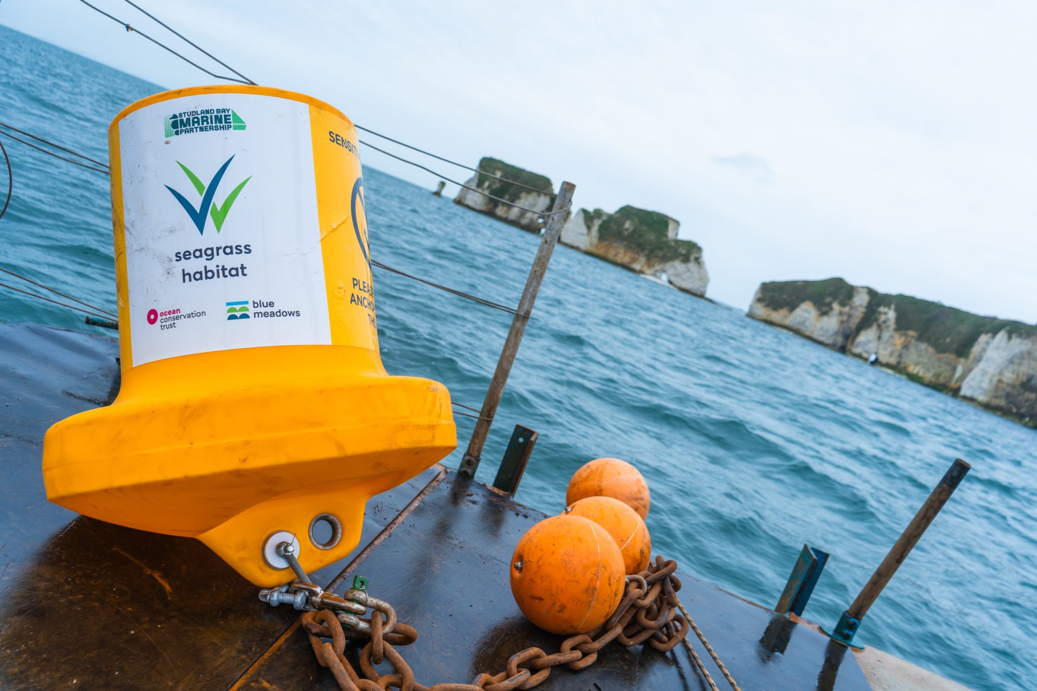 Studland Bay – Blue Meadows