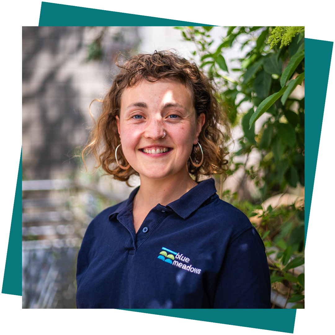 Our team – Blue Meadows