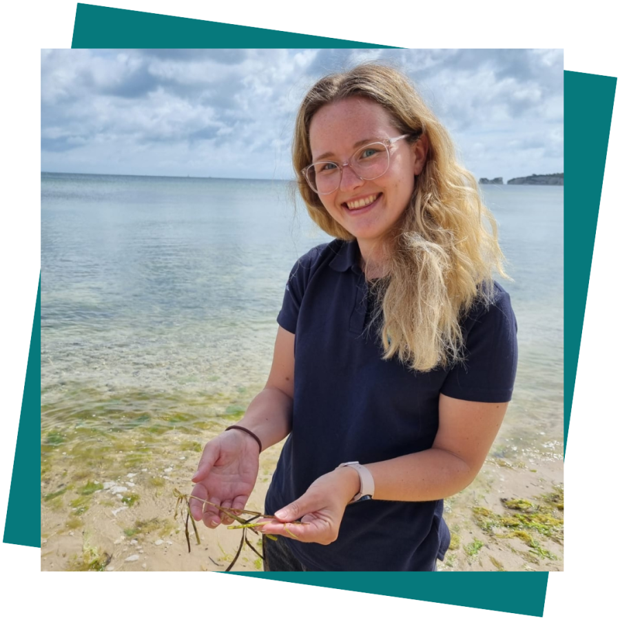 Our team – Blue Meadows