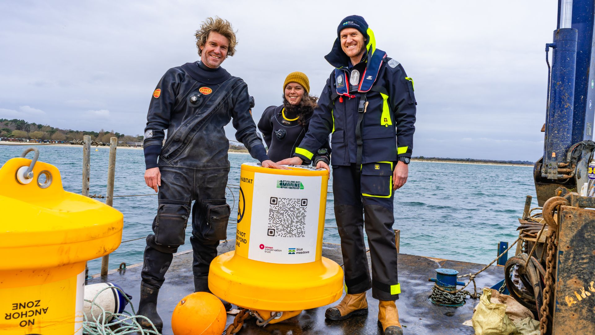 Mini meadows – Blue Meadows