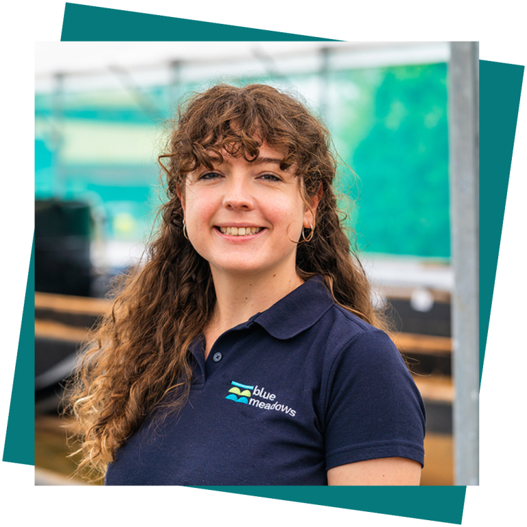 Our team – Blue Meadows