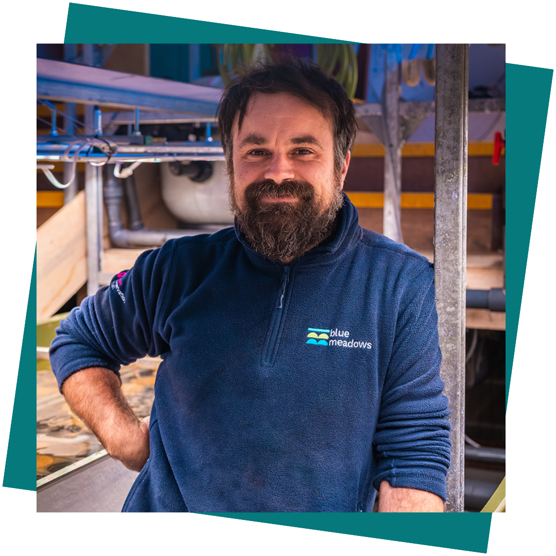 Our team – Blue Meadows