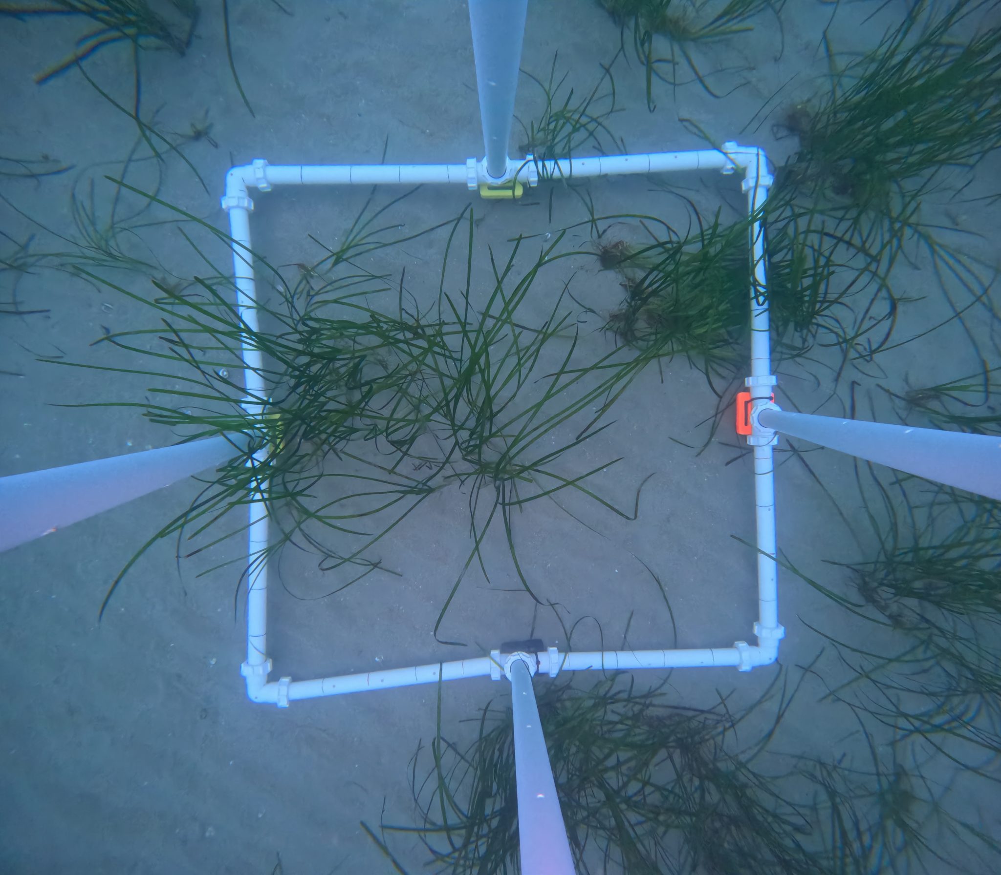 Monitoring – Blue Meadows