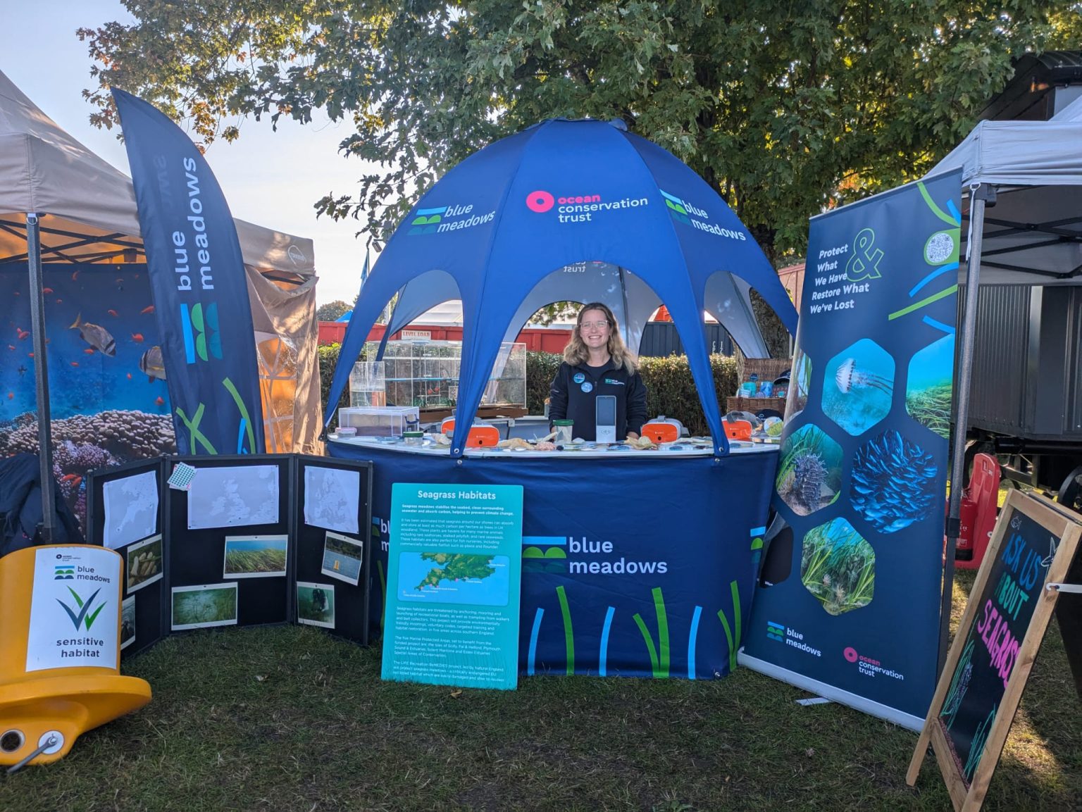 Community Engagement – Blue Meadows