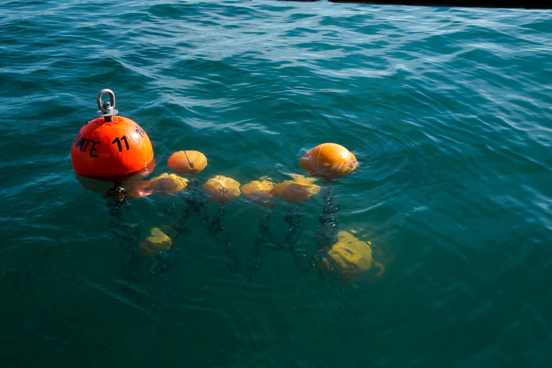 Advanced mooring systems – Blue Meadows